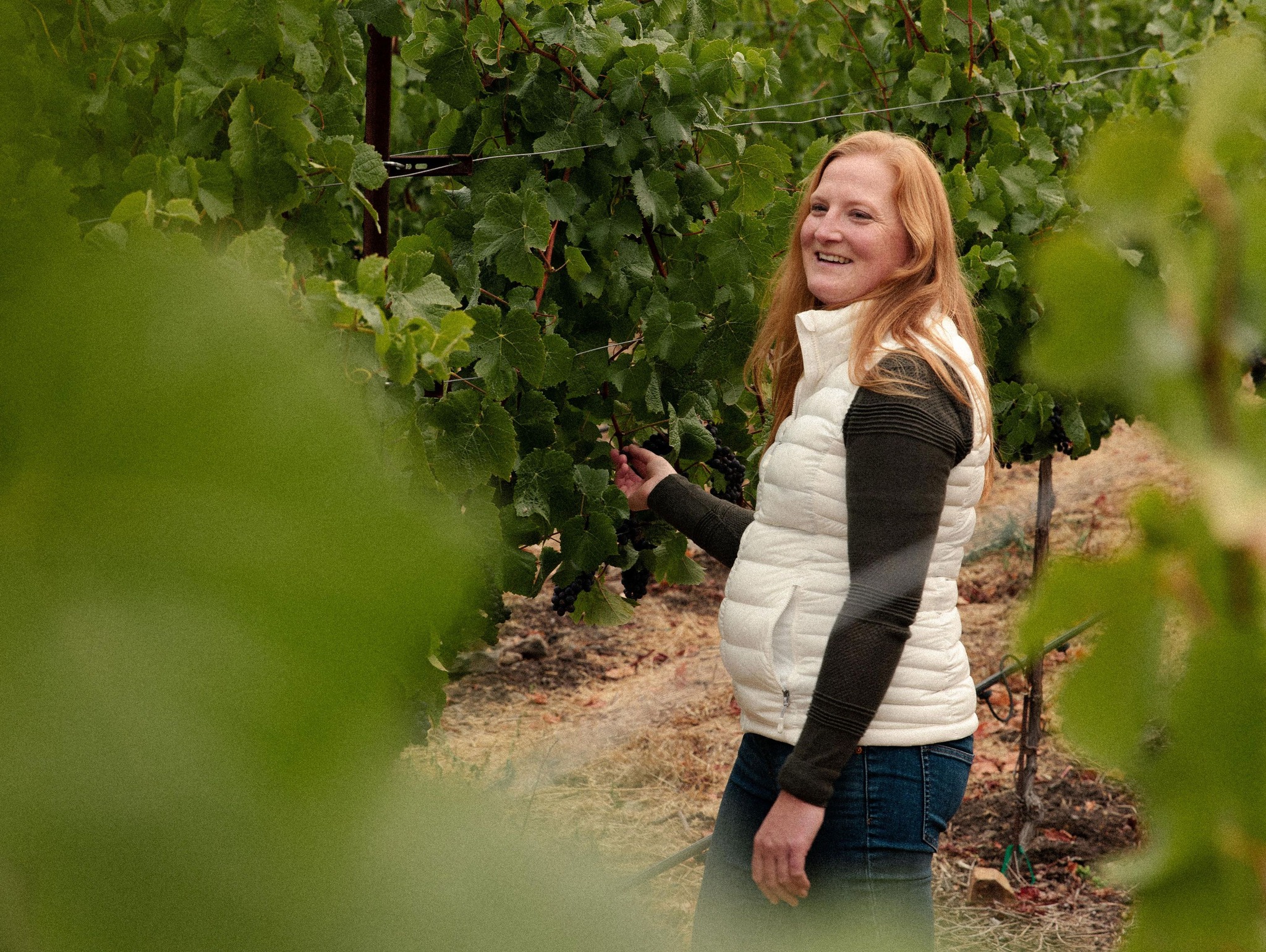 The Wine, Science, and People Behind MacRostie Winery & Vineyards | Tock